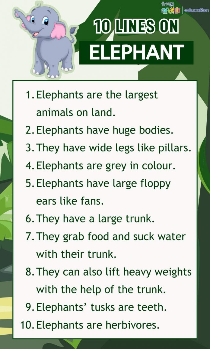 Essay on Elephant in English for Classes 1,2,3 Students: 10 Lines ...