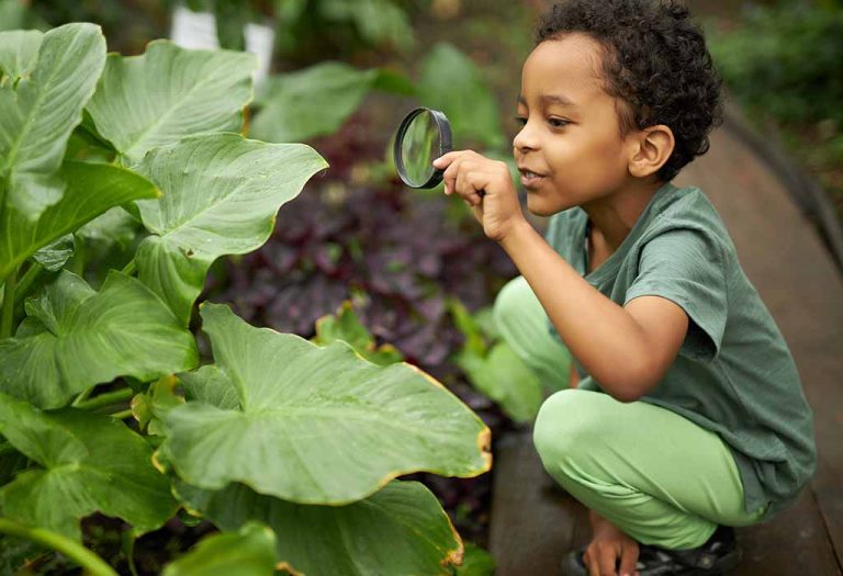 10 Nature-Inspired Activities For Kids to do this Earth Day