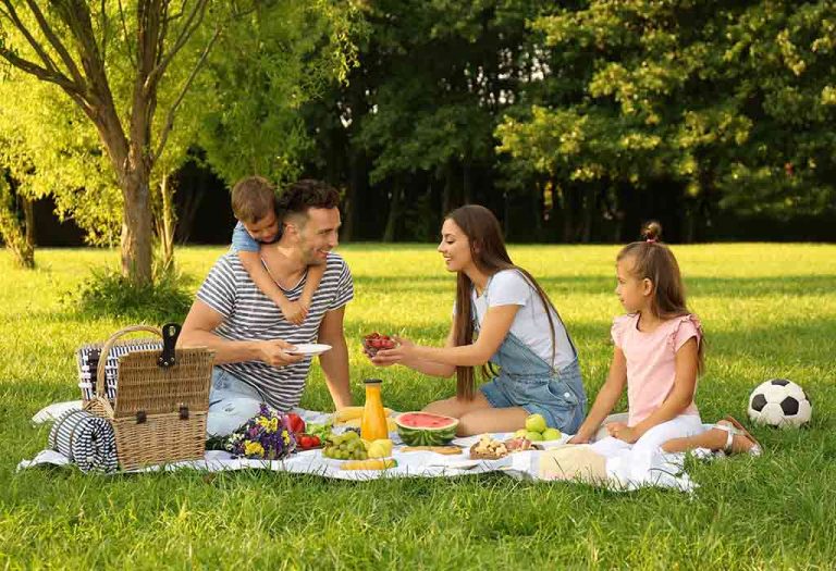 Essay On Picnic (School and Family) in English for Classes 1-3: 10 ...