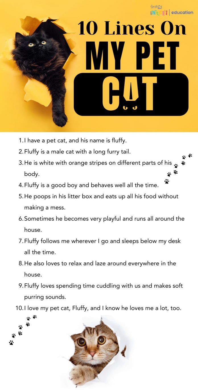 Essay on Cat in English for Classes 1-3: 10 Lines, Short & Long Paragraph