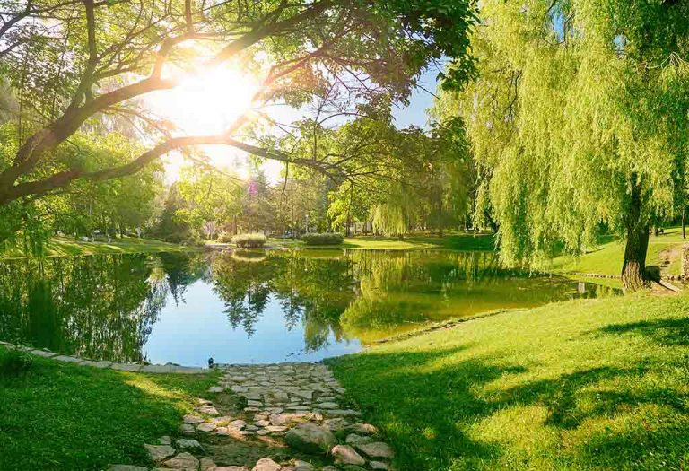 Essay On Nature in English for Classes 1,2,3 Children: 10 Lines & Paragraph