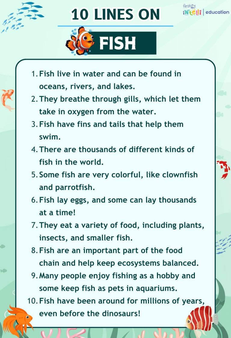 Essay On Fish in English for Classes 1-3: 10 Lines, Short & Long Paragraph