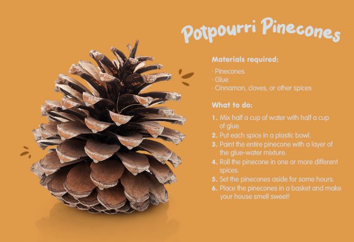 7 Environment-Friendly Craft Activities For Kids - Firstcry Intelli ...