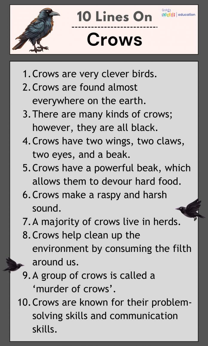 Essay On Crows in English for Class 1, 2 & 3: 10 Lines, Short & Long ...