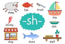 List of Words That Start With Letter 'Sh' For Children To Learn