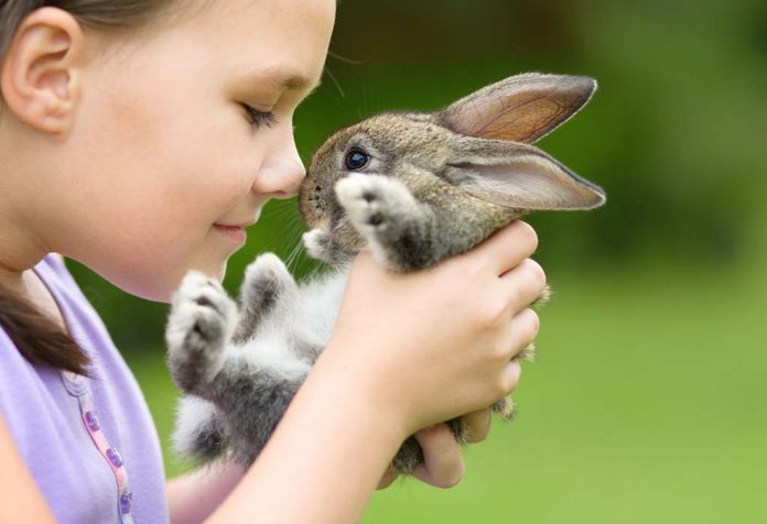 Essay on My Favourite Animal (in English) for Classes 1, 2 & 3: 10 ...