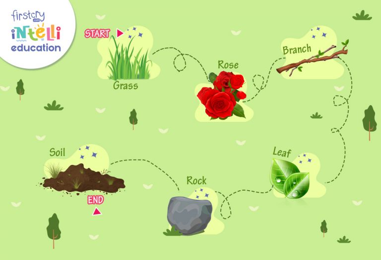 7 Activities For Your Toddler's Weekend Nature Walk - Firstcry Intelli ...