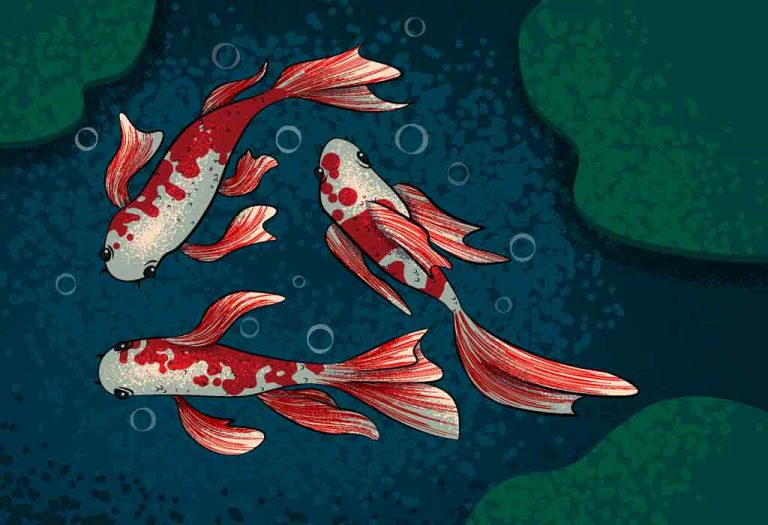 The Three Fish Story For Children With Moral