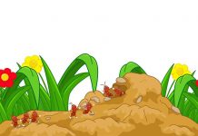 The Ants Go Marching | Nursery Rhyme For Kids With Lyrics