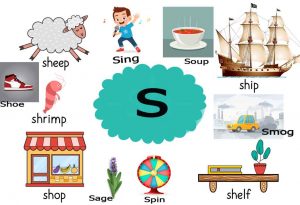 List of 4 Letter Words That Start With 'S' For Children To Learn