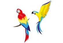A Wise Parrot Story For Children With Moral