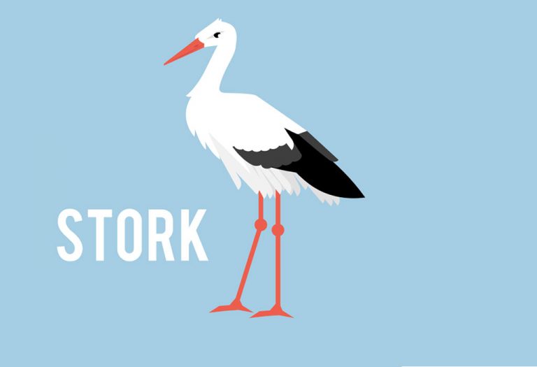 The Stork And The Crab Story For Children With Moral