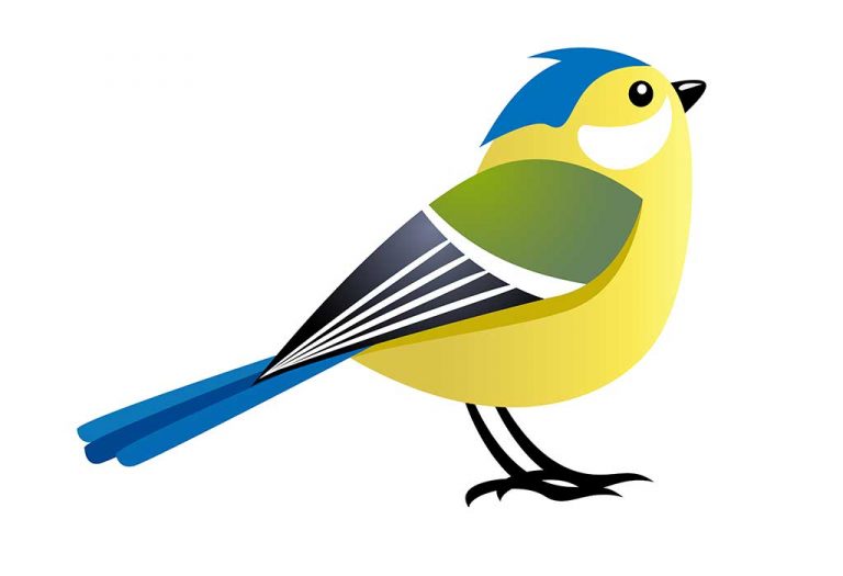 The Story Of The Deceitful Bird For Children With Moral