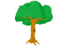 The Oak Tree And The Reeds Story For Children With Moral