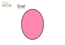 Teaching Oval Shape for Preschoolers: How To Draw & Examples