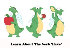 Verb - To Have: Definition, Usage & Examples