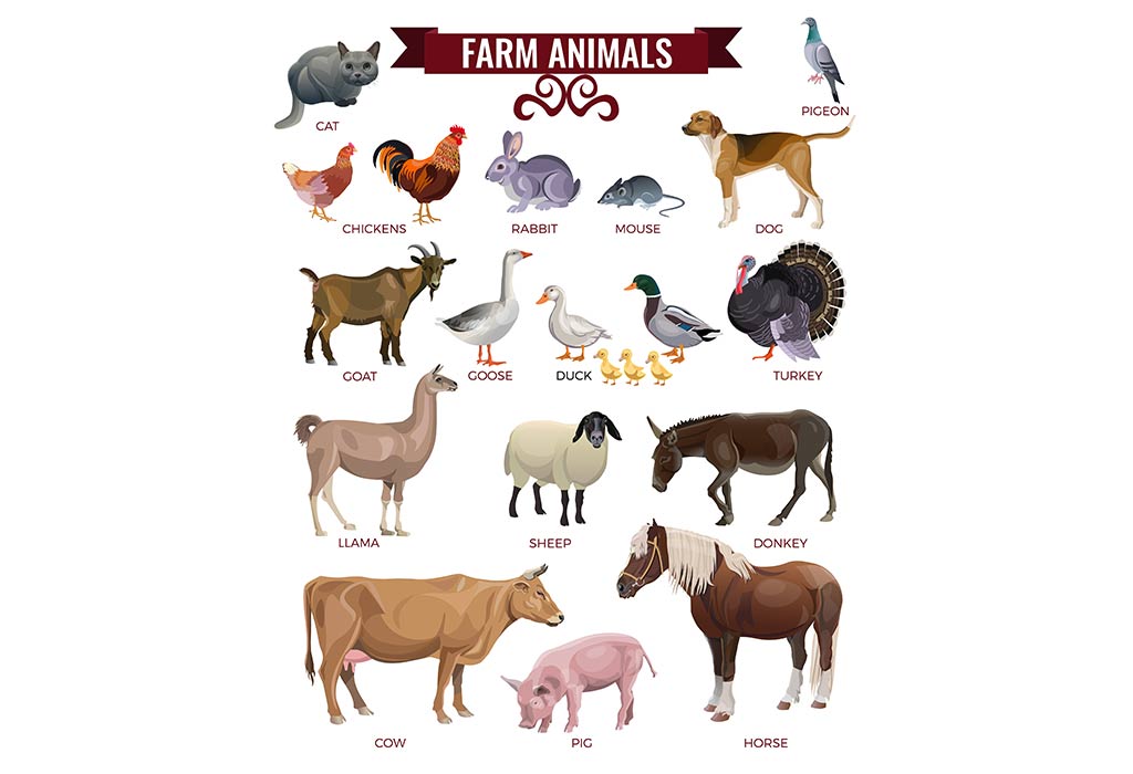 Animal Chart For Kids Download Free Printables 51 OFF Animal Chart For Kids Download Free Printables 51 OFF