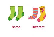 Teach Kids About The Concept of "Same & Different"