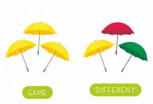 Teach Kids About The Concept of "Same & Different"