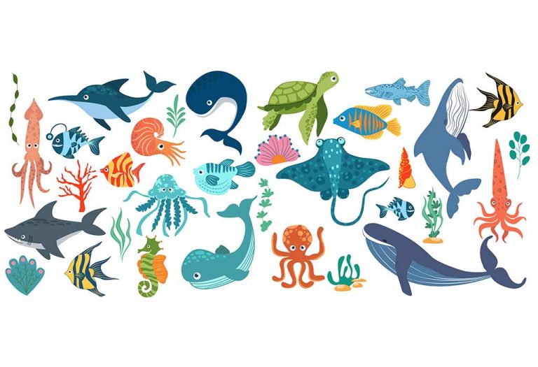 List of Sea Animals Names For Preschoolers & Kids