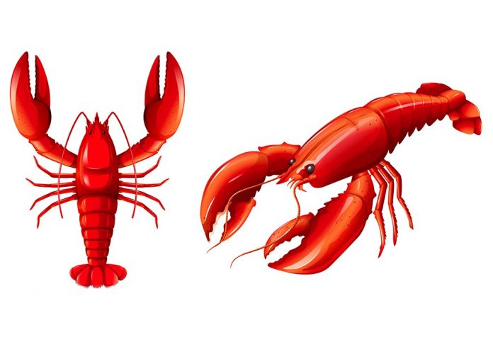 Teach Your Child About Things That Are Red In Colour