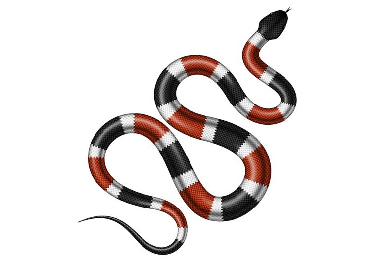 Teach Your Child About Things That Are Red In Colour