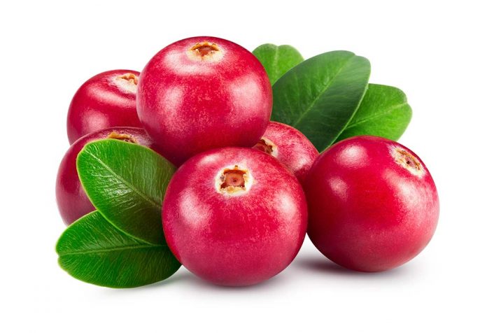 Teach Your Child About Things That Are Red In Colour