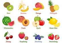 List of Food Items Names in English for Kids to Learn