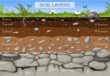 Teach Layers Of Soil For Preschool Kids With These Activities