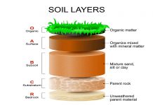 Teach Layers Of Soil For Preschool Kids With These Activities