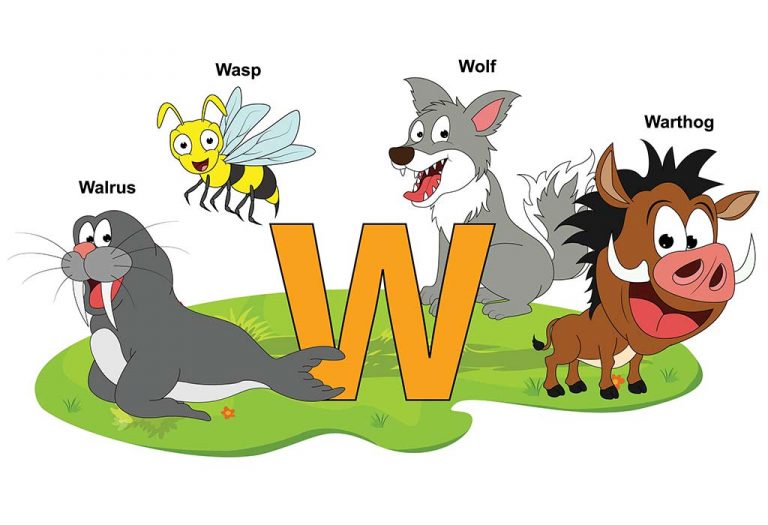 Teach Kids: Names of Animals That Start With Letter "W"