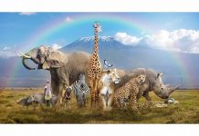 List of Mammals Names For Kids (With Pictures)