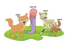 Teach Kids: Names of Animals That Start With Letter "J"