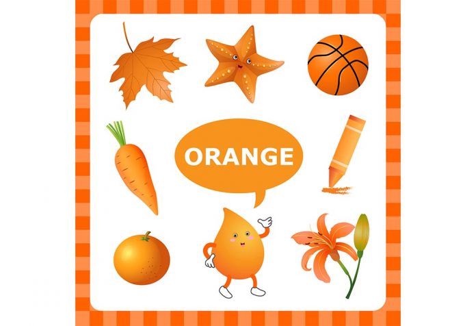 Teach Your Child About Things That Are Orange In Colour