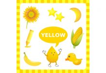 Teach Your Child About Things That Are Yellow In Colour