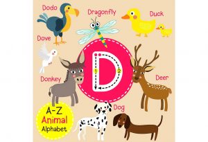 Teach Kids: Names of Animals That Start With Letter "D"