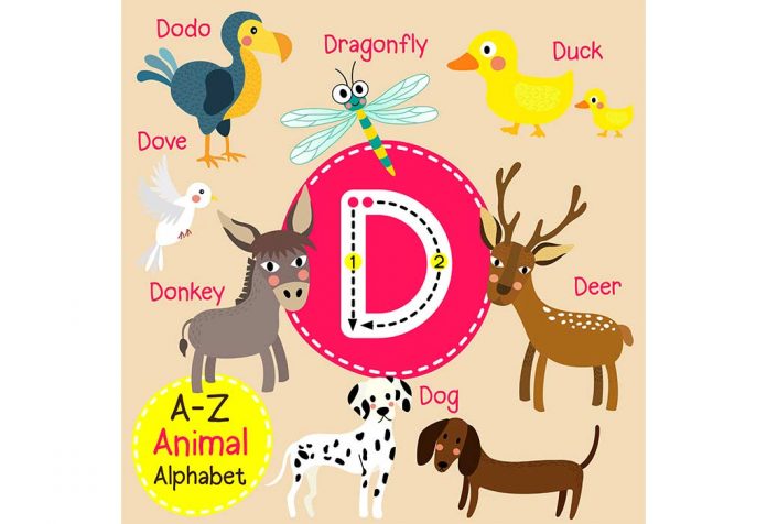 Teach Kids: Names of Animals That Start With Letter "D"