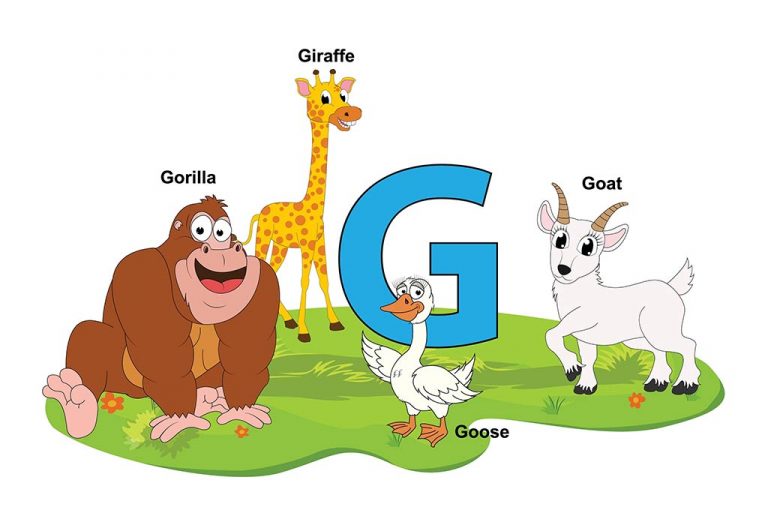 Teach Kids: List of Names of Animals That Start With Letter 'G'