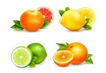 List of Citrus Fruits Names To Teach Preschoolers & Kids