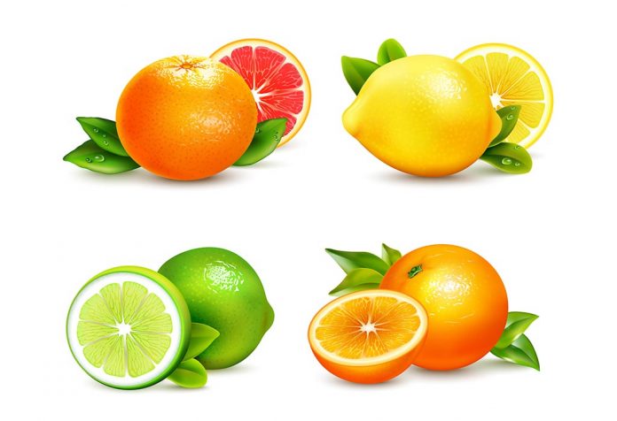 List of Citrus Fruits Names To Teach Preschoolers & Kids