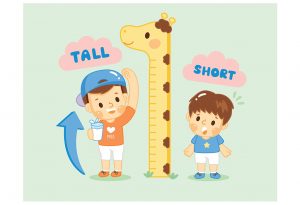 Tall And Short Concept For Preschoolers