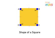 Teaching Square Shape To Preschoolers