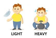 Teach Kids About The Concept of Heavy & Light Objects