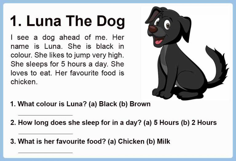 Reading Comprehension For Kids With Examples And Activities