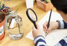 Observational Drawing For Preschoolers And Kids To Improve Drawing Skills