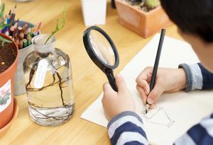 Observational Drawing For Preschoolers And Kids To Improve Drawing Skills