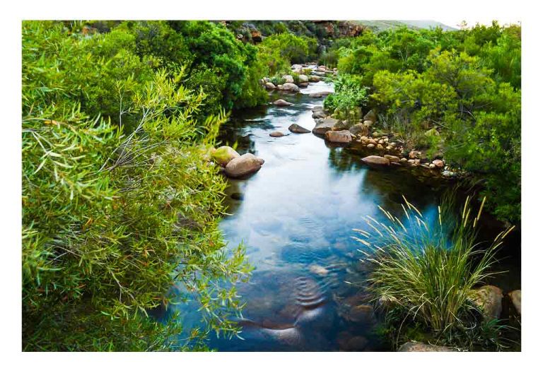 Types Of Water Bodies For Preschoolers and Kids