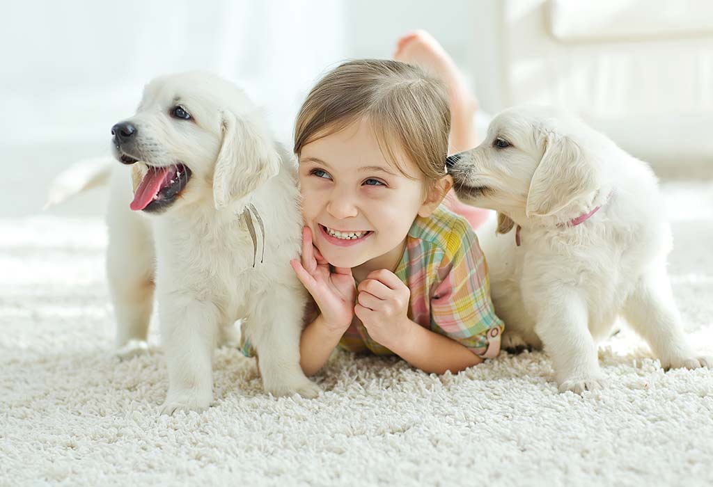Names Of Pet Animals In English For Kids Names Of Pet Animals In English For Kids