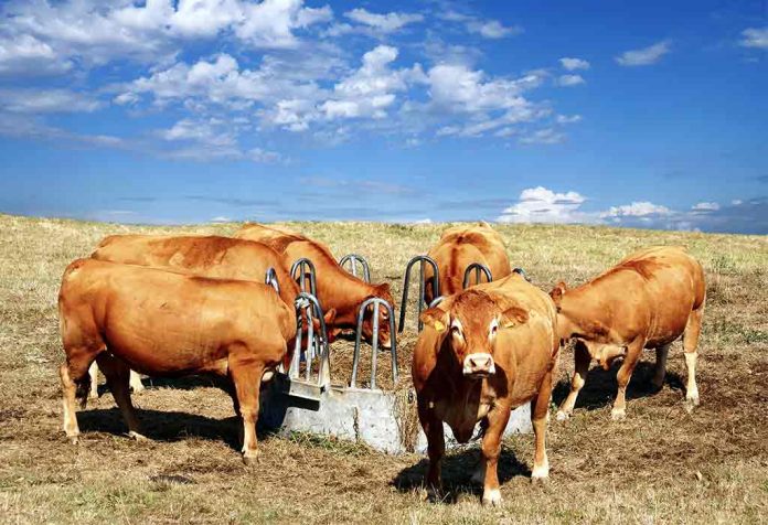 The Dog In The Manger Story For Children With Moral