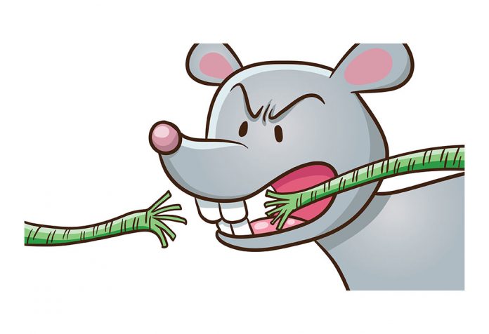 The Elephants and The Mice Story For Children With Moral
